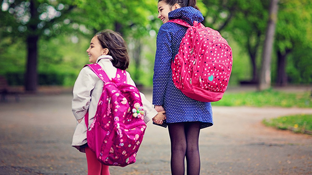 Les chiffres-clés de la rentrée scolaire 2018/2019 - centrepresseaveyron.fr