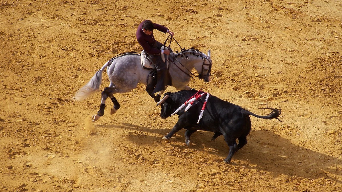 Proposition de loi pour interdire la corrida : un débat très animé s ...