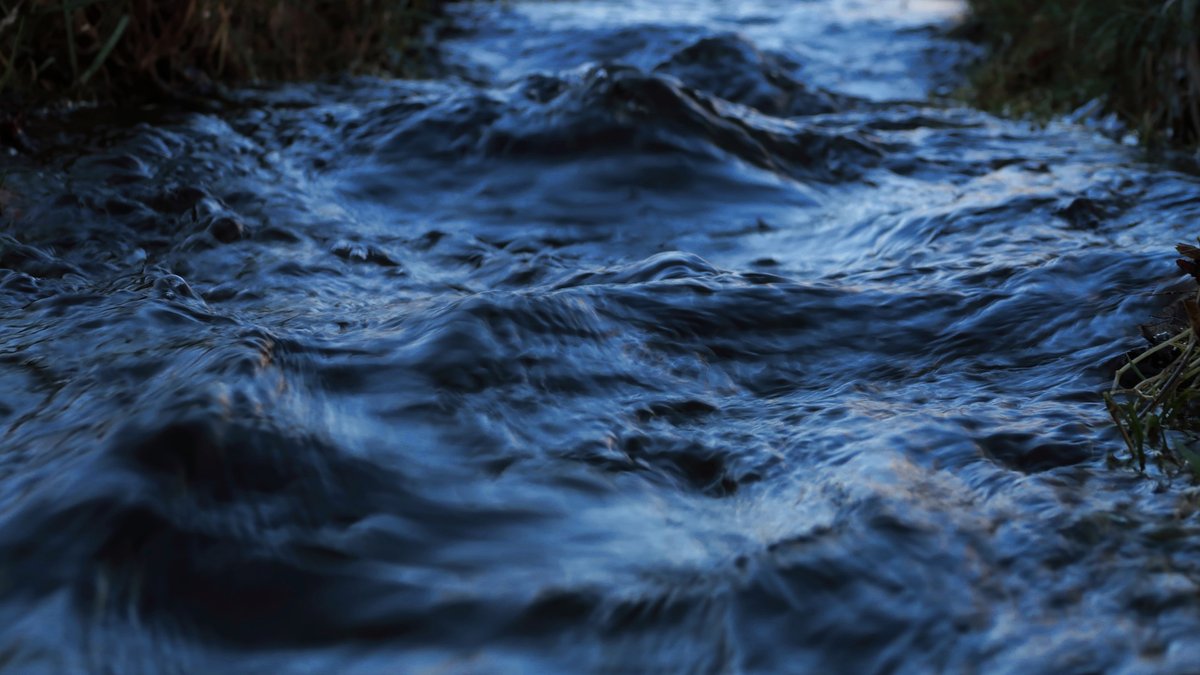 Aveyron : 25 tonnes d'alimentation animale déversées, les cours d'eau ...