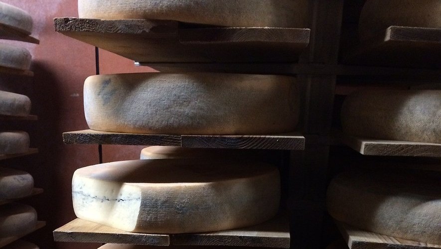 E.coli bacteria, hospitalized children, consumer recall: what we know ...