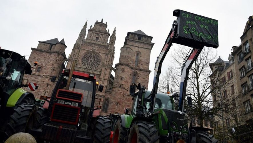 Colère des agriculteurs : tracteurs et vaches dans Rodez, la FDSEA et les JA envisagent une ...