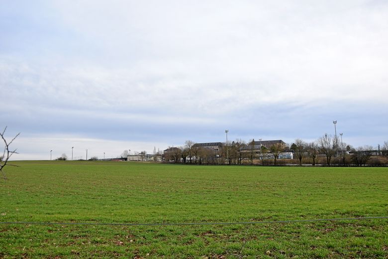 Padel, pickleball, foot à 5… Zinédine Zidane prêt à investir 2,5 ...