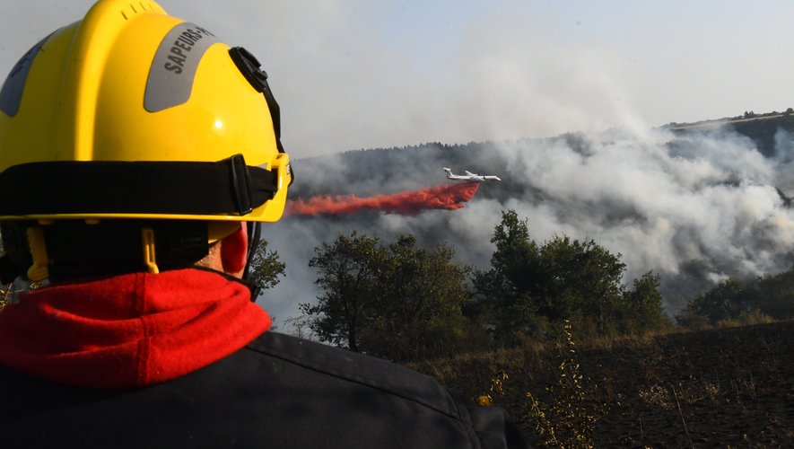 Risque de feux de forêt : ces trois départements sont en alerte rouge ...