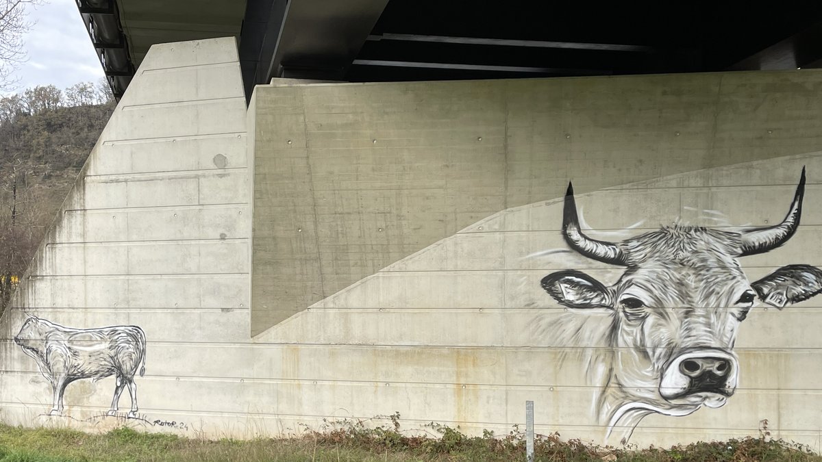 VIDÉO. "Cela fait plus d’un an que j’ai posté son premier graff sur les ...