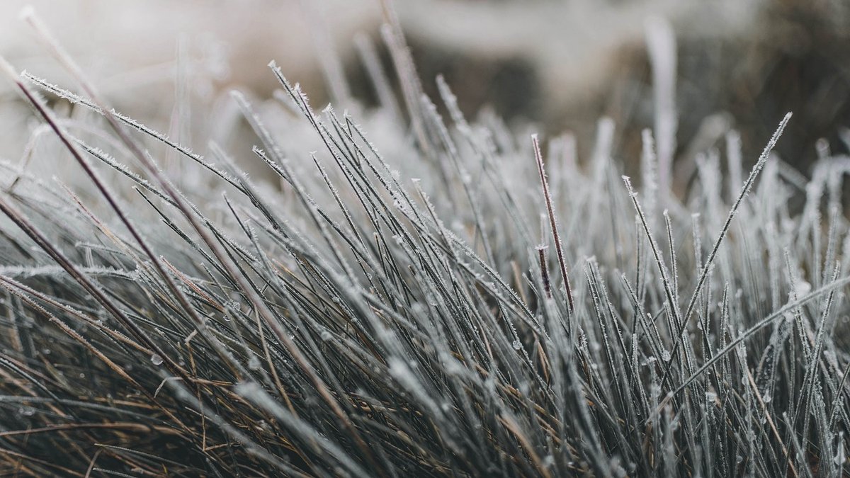 CARTE. Retour du grand froid dans le pays : Météo-France place 16 ...