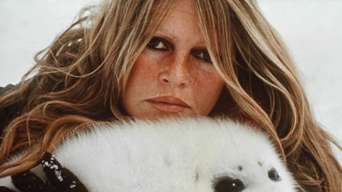 Mort de Brigitte Bardot : de la banquise à l’Aveyron, engagée pour la ...
