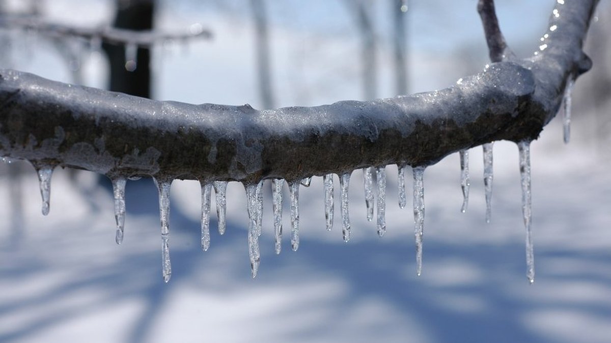 État des routes en Aveyron : le verglas est encore roi, voici où les ...