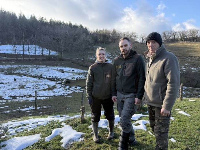 VIDÉO. "L’écorce des sapins est un apport nutritif et l’épine de pin, l ...