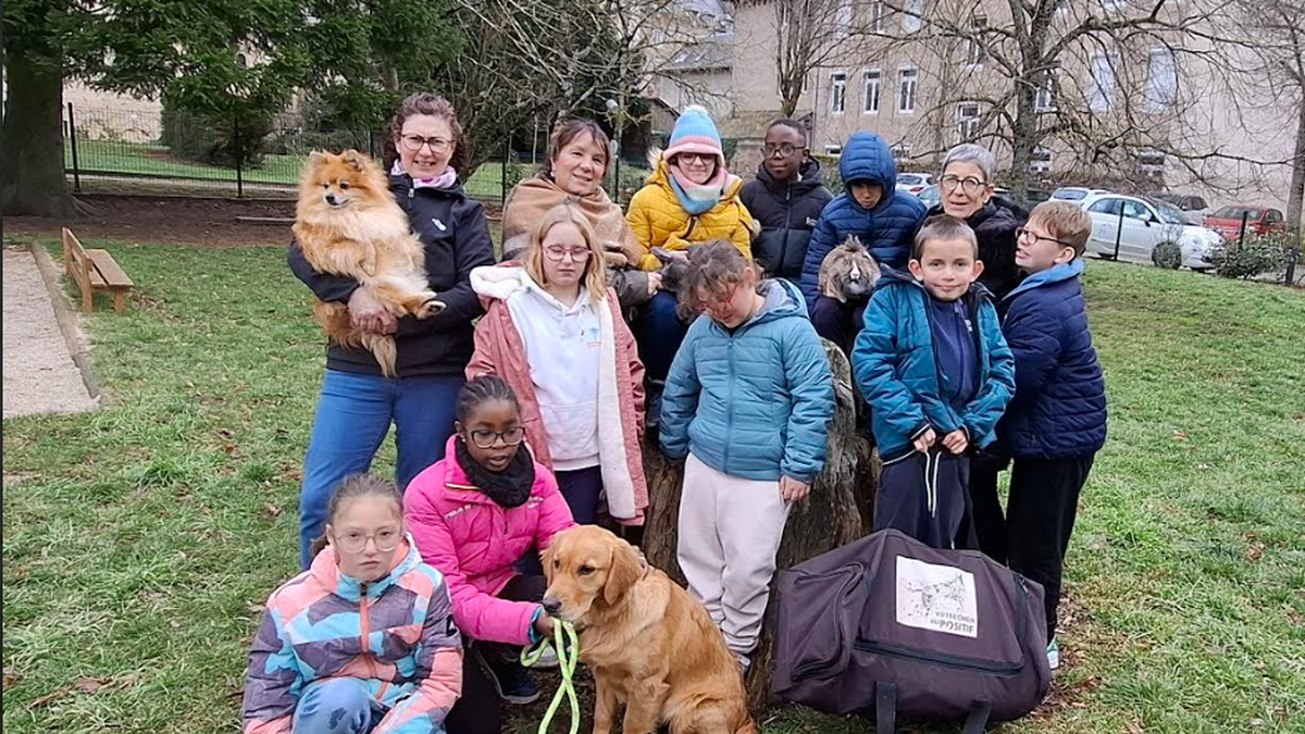 "Les bienfaits sont multiples" : la médiation animale pour le bien-être ...