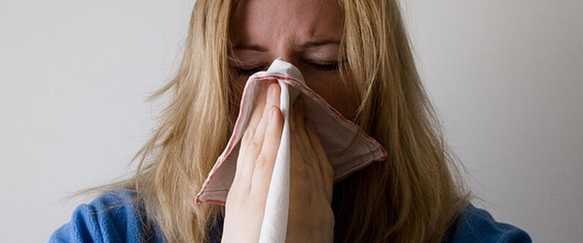 CARTE. Allergies : presque la toute la France en rouge, voici où les ...